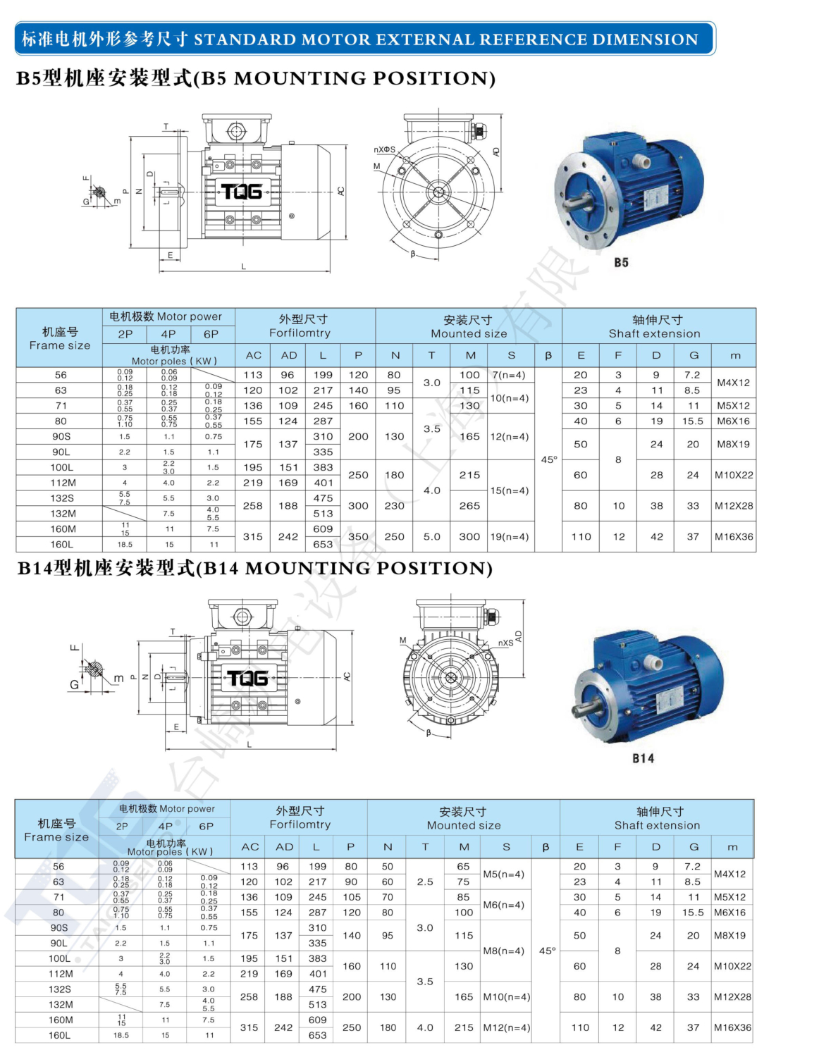 Aluminum Shell Ordinary Motor | 3 Phase Motor | Industry Motors - TQG