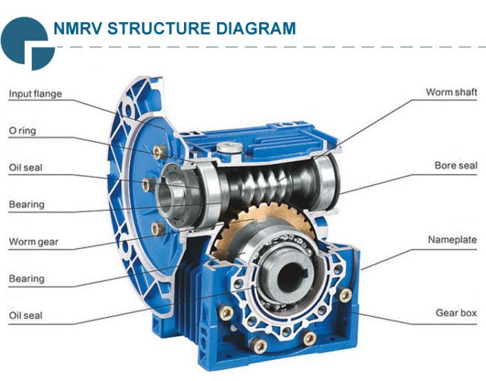 NMRV-E Worm Gear Motor | Worm Drive Gearbox with Motor - TQG