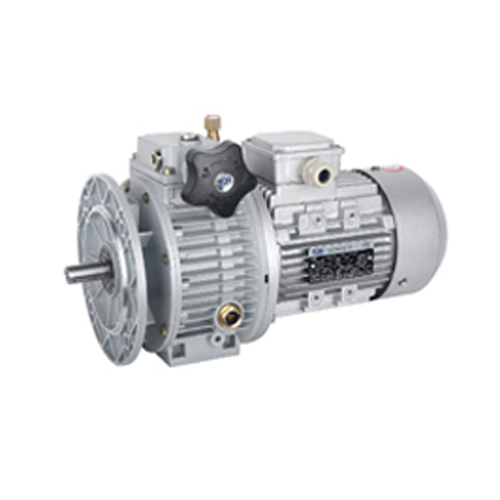 UDL Stepless Speed Variator | Mechanical Speed Variator - TQG